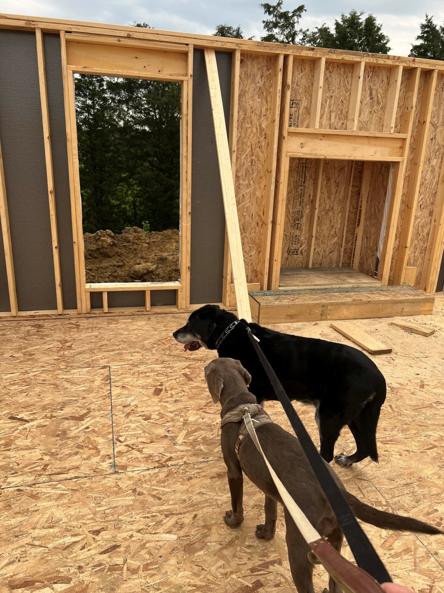 Bright Idea: How Wayne Homes Are Energy Efficient - Wayne Homes Blog